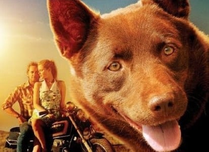 Red Dog: The magic of an Aussie story - Australian Times News