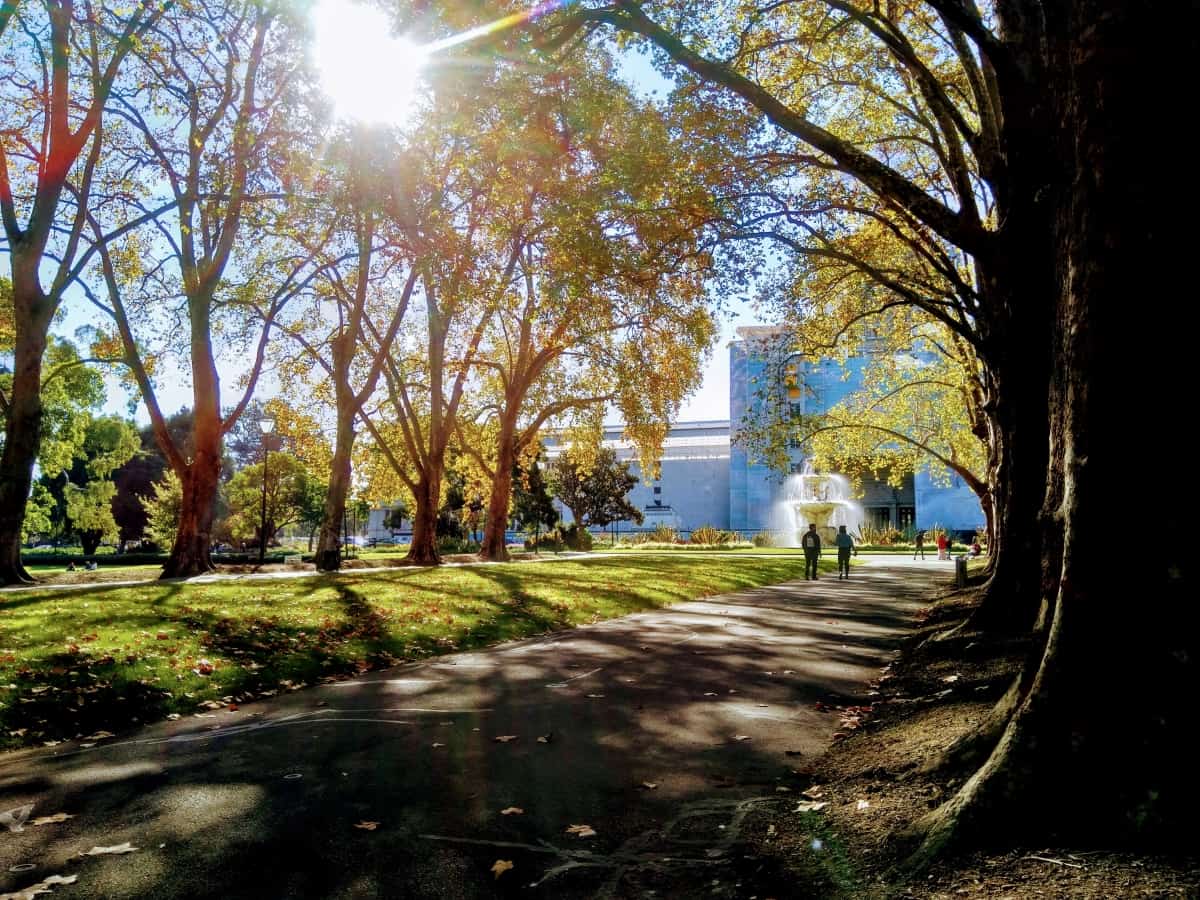 3 ways nature in the city can do you good, even in self-isolation