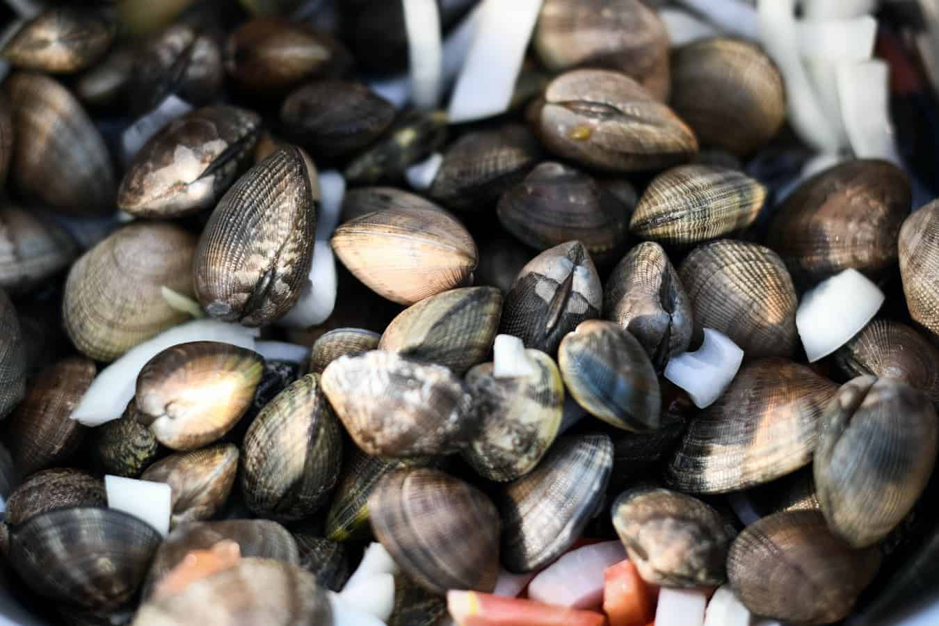 Tasty clams and white bean broth