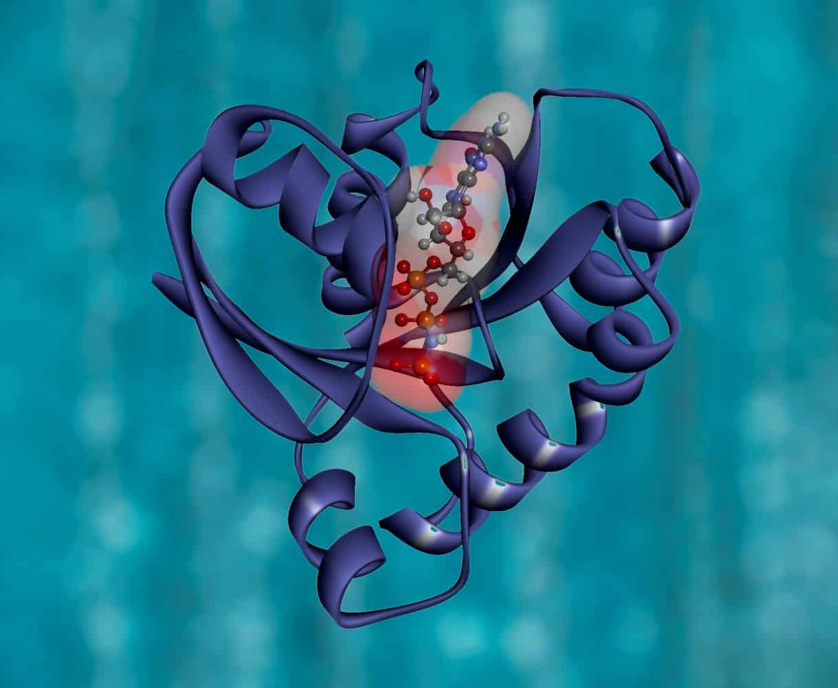 Nobel Prize for chemistry honors exquisitely precise gene-editing ...