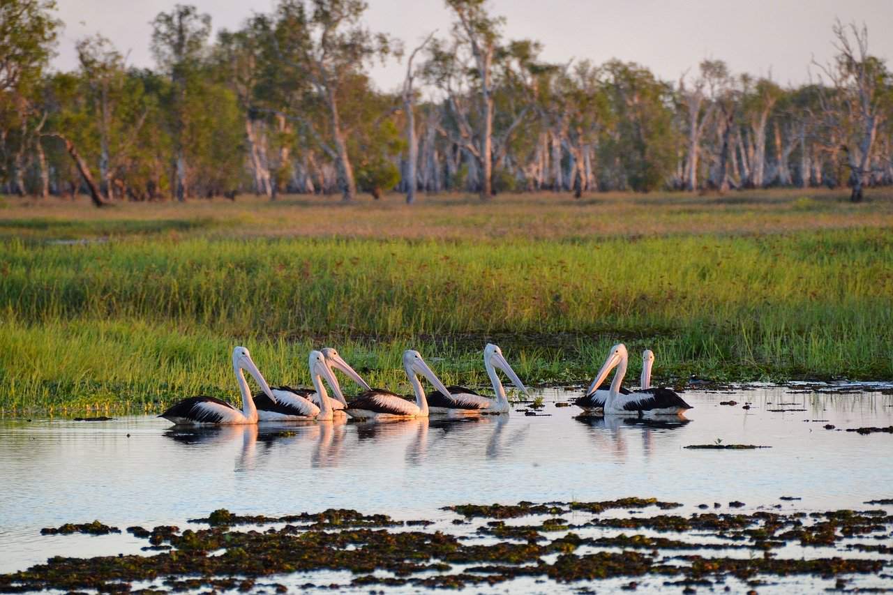 Exciting new tourism chapter for iconic Kakadu National Park