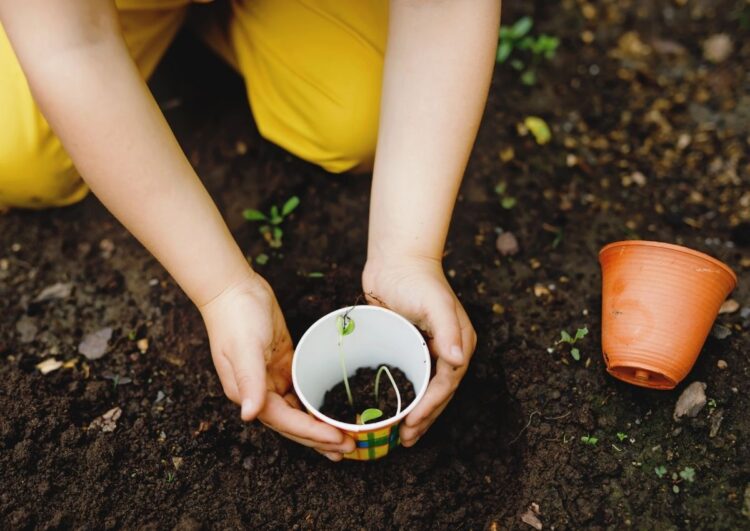 Start to protect the environment today – Here’s how