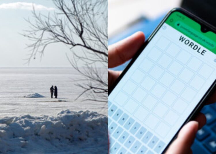 Australian Times - Australian Times News