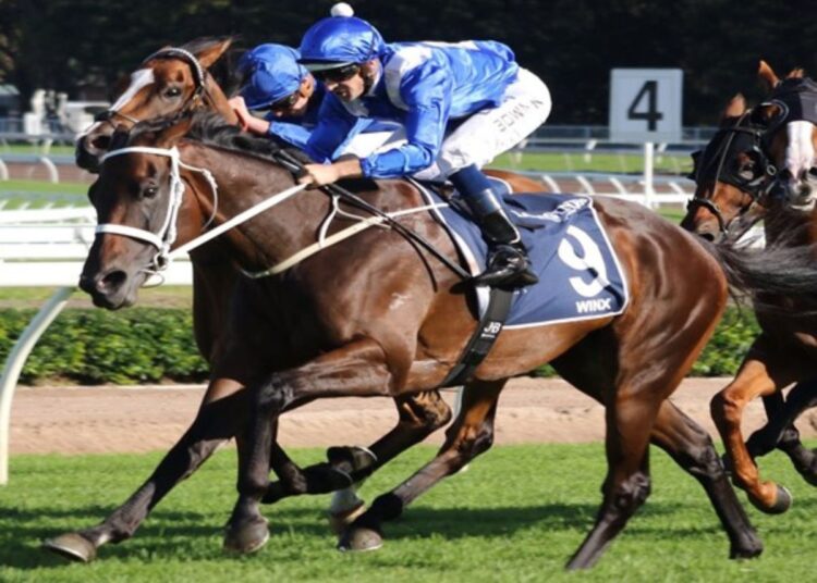 Australian Times - Australian Times News