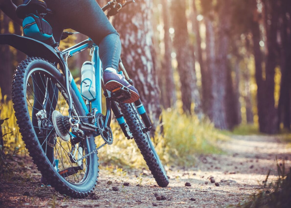 What Are The Most Important Features of a Mountain Bike?